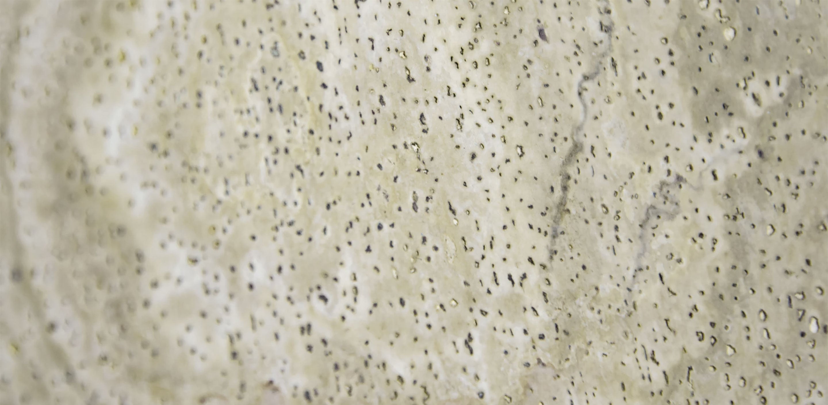 Everything You Need To Know About Cork Leather | Leather Jacket Shop